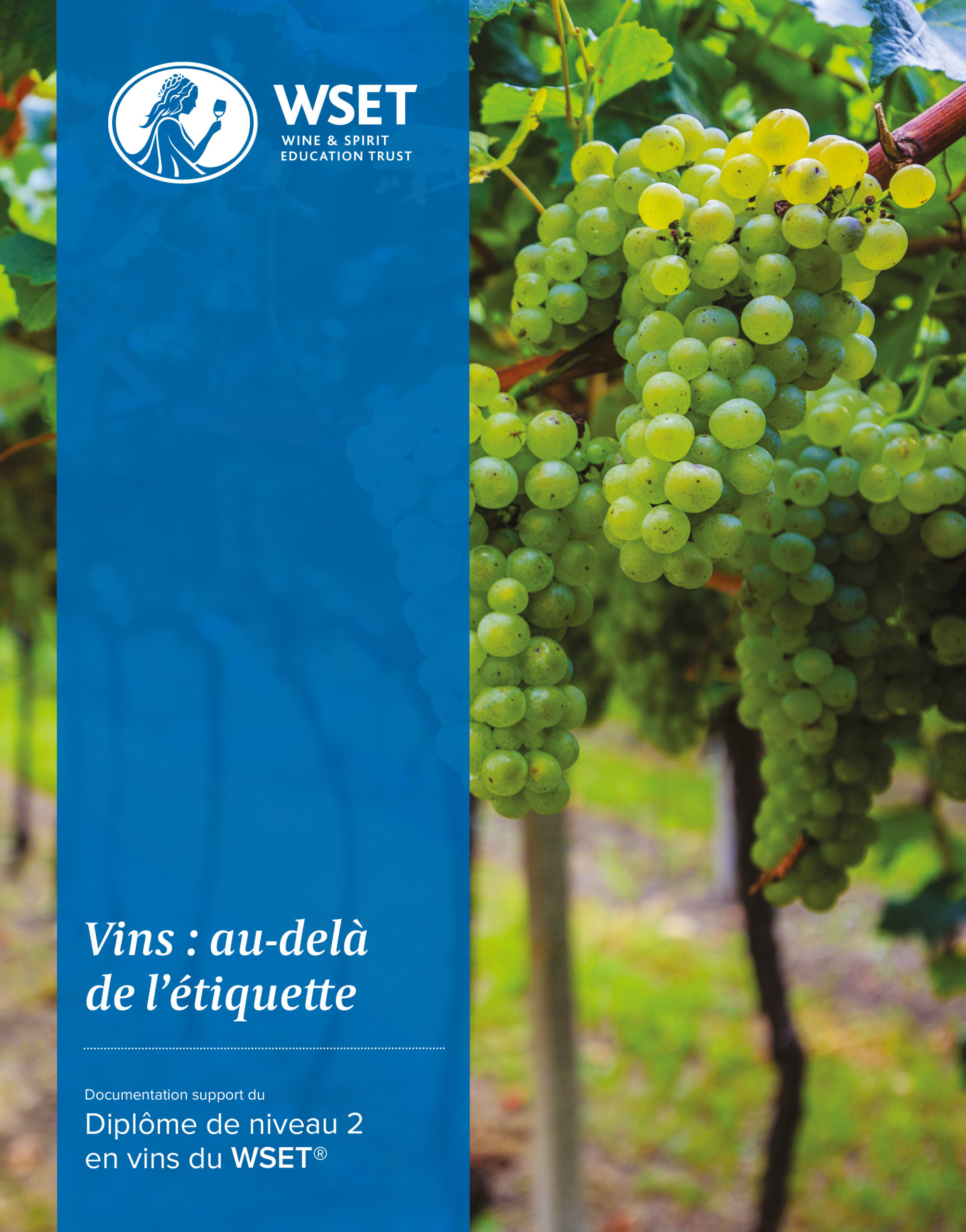 WSET-Niveau-2 Découvrez l'approche de dégustation du WSET ! xl-vins.fr